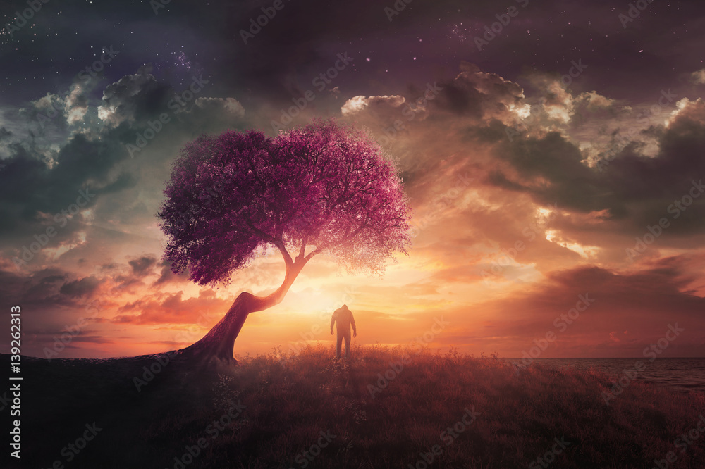 Alone at sunset Stock Photo | Adobe Stock