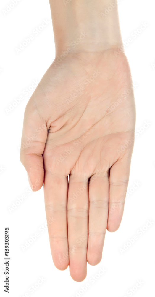 Female Hand Palm