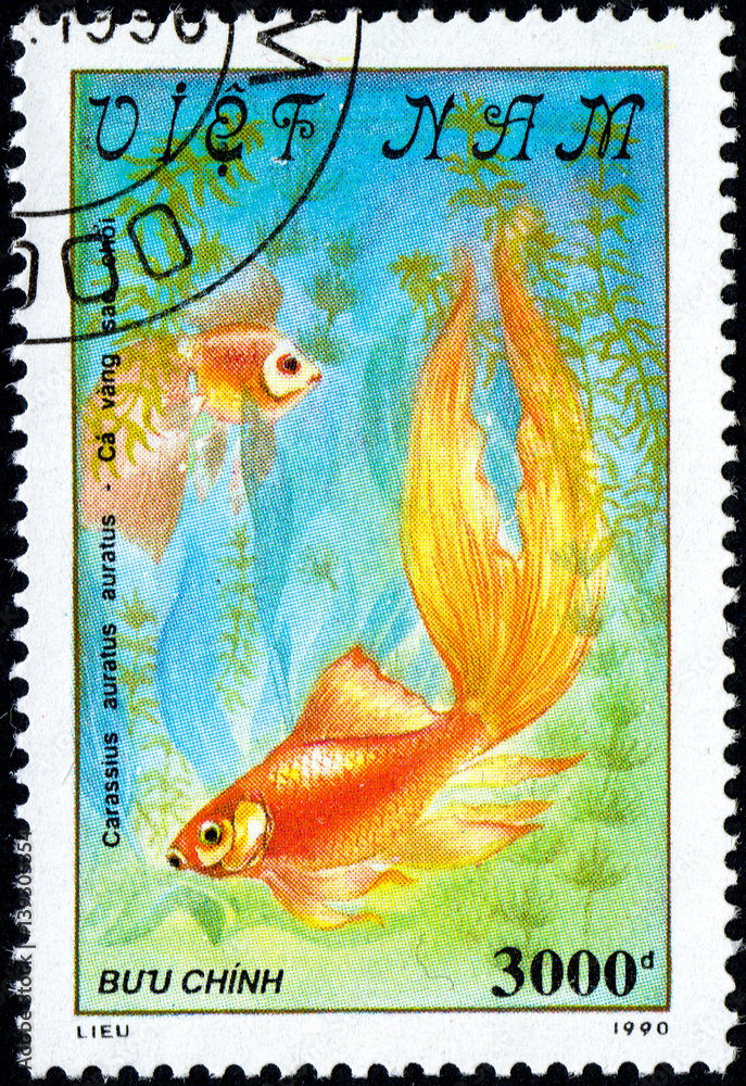 VIETNAM - CIRCA 2017: A Stamp printed in Vietnam shows beautiful fish ...