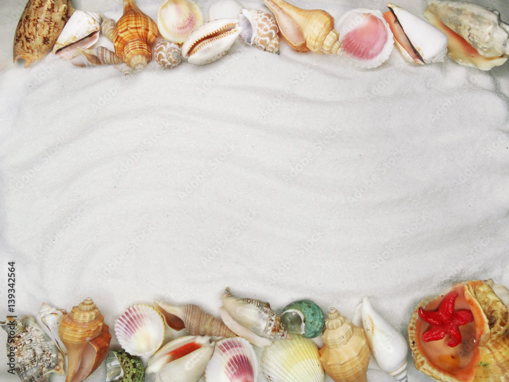 sea shells on sand beach summer beach background Stock Photo | Adobe Stock