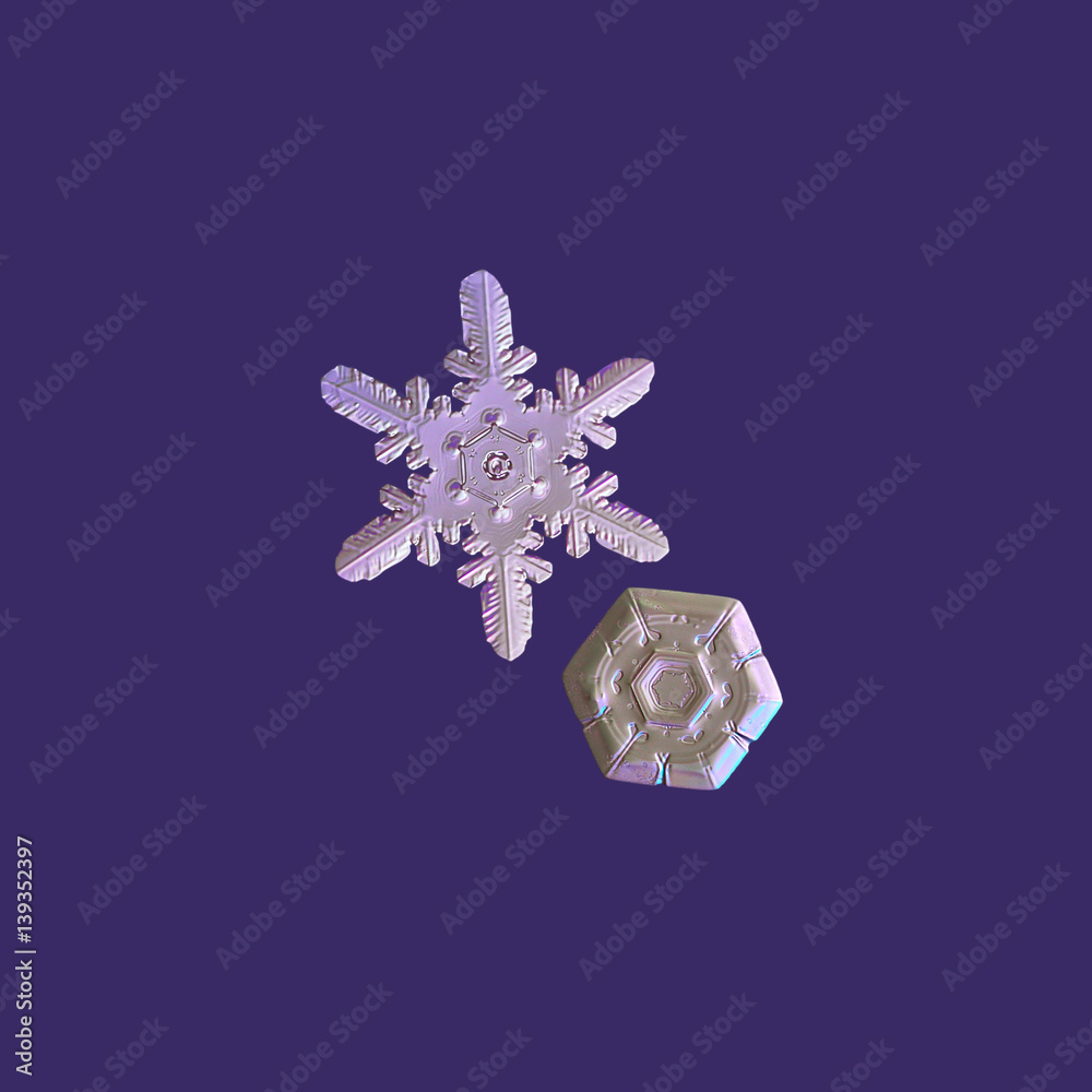 Snowflakes isolated on dark uniform background. This is macro photo of ...