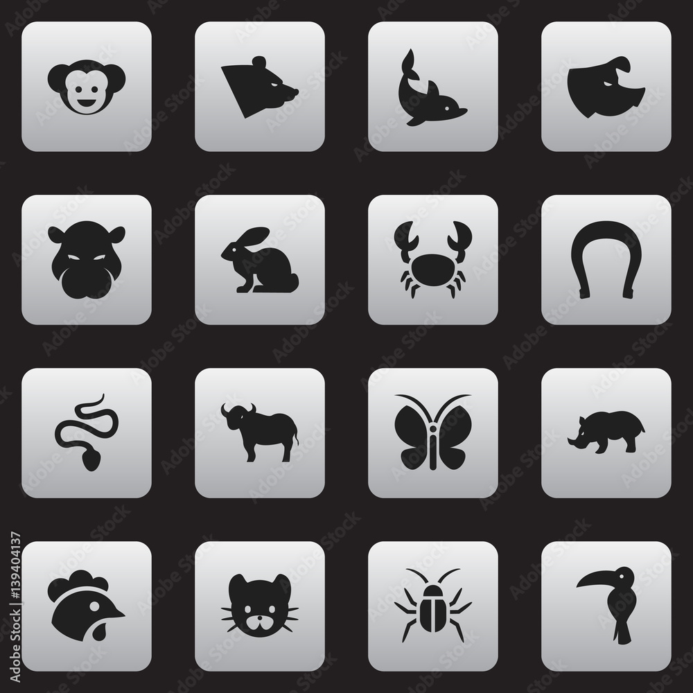 Set Of 16 Editable Zoo Icons. Includes Symbols Such As Moth, Ox, Rhino ...