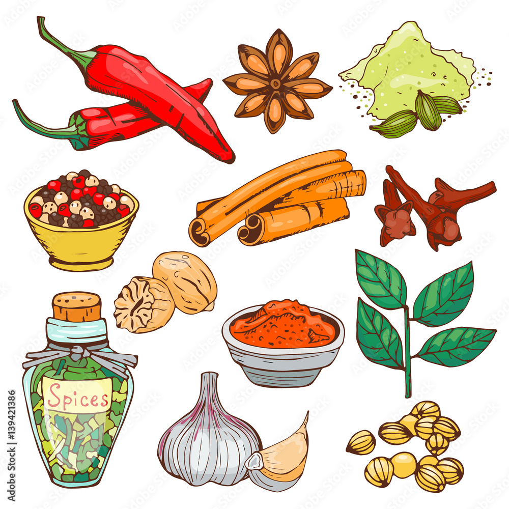 Spices seasoning hand drawn style food herbs elements and seeds ...