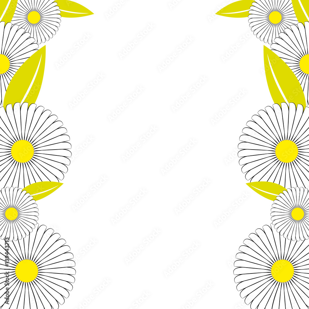 Daisy on white background Stock Vector | Adobe Stock