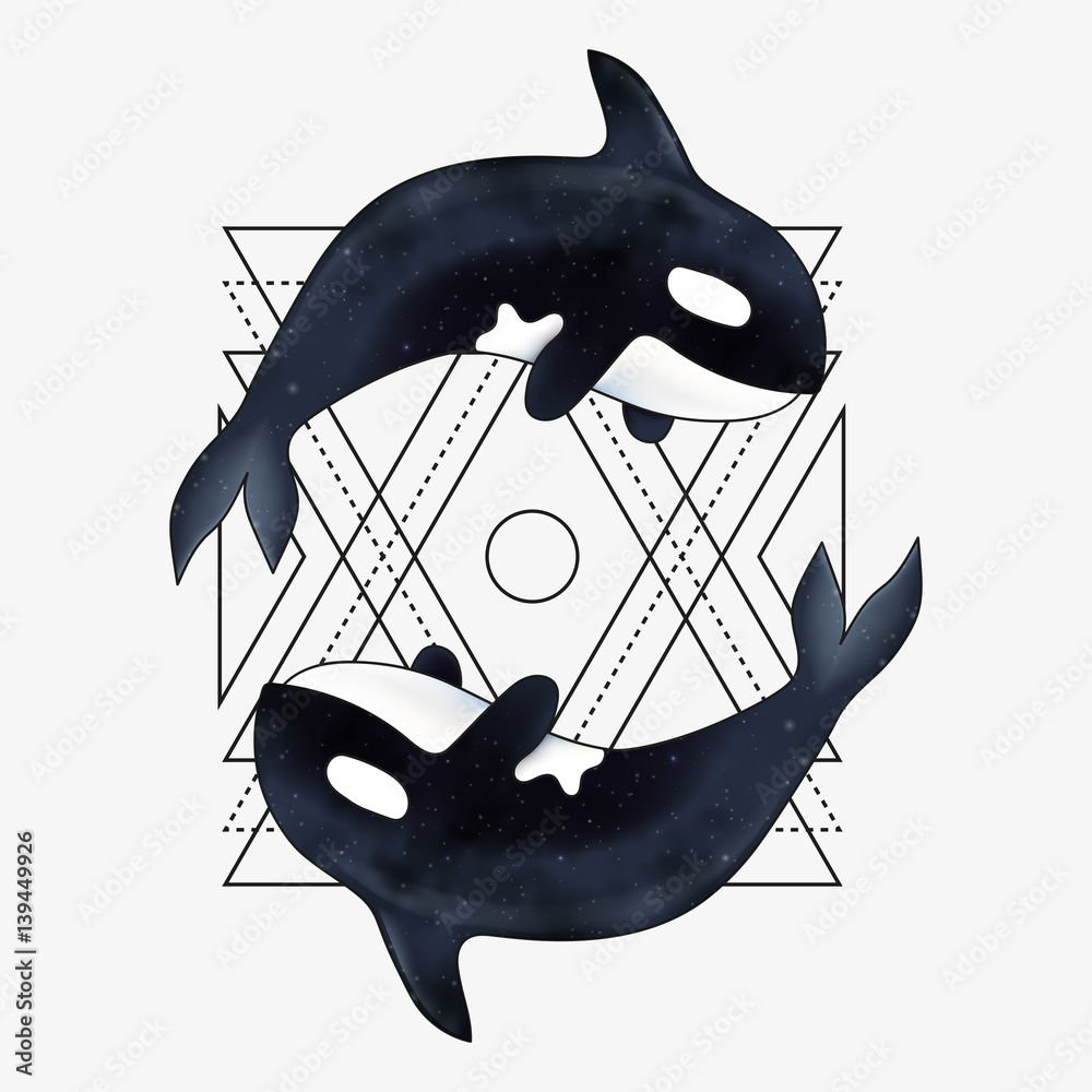 Orca vector illustration. Marine mammal. Killer whale with abstract ...