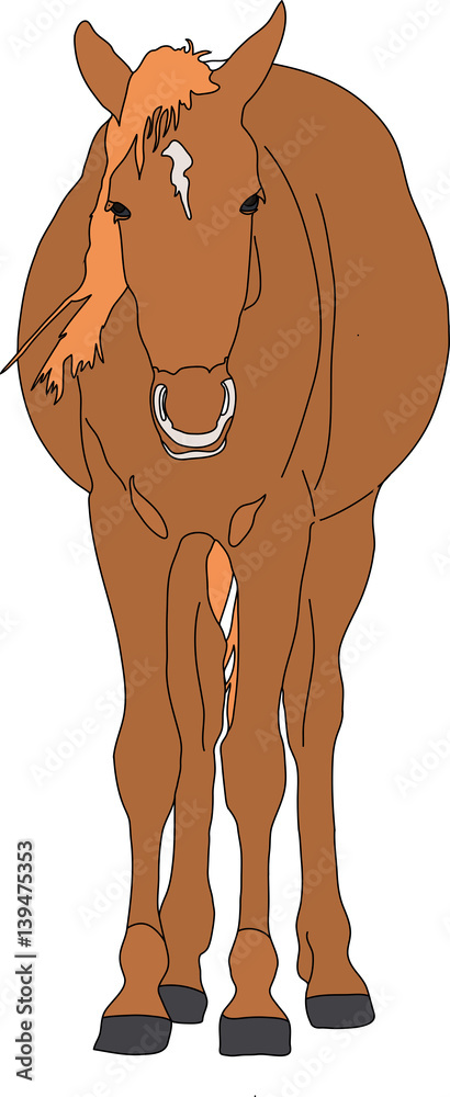 Cartoon Front Of Horse