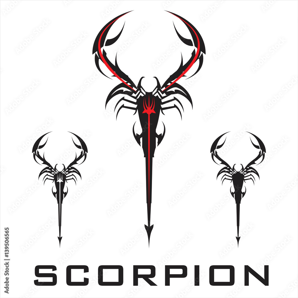 scorpion. elegant stylized scorpion Stock Vector | Adobe Stock