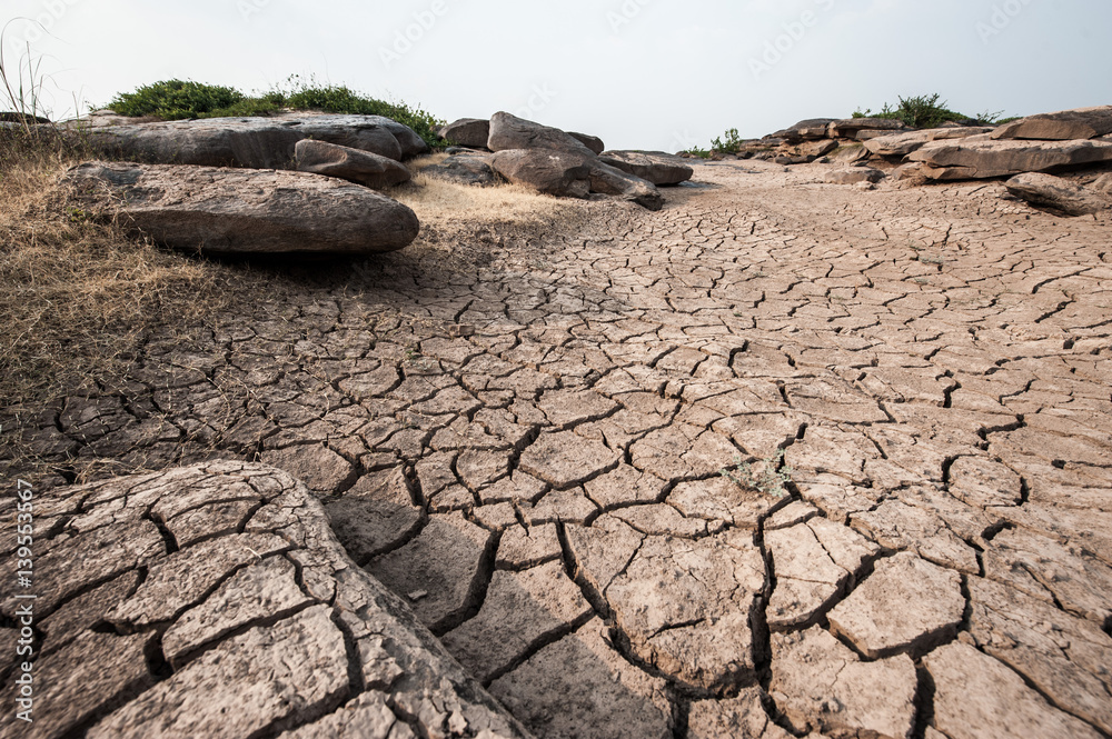 Dry ground surface crack texture Stock Photo | Adobe Stock