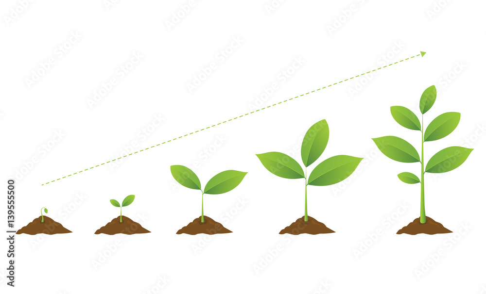 Seed Sprouting Clip Art