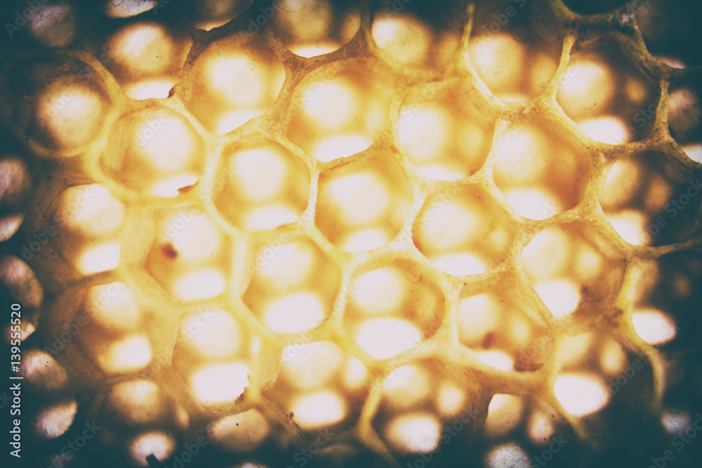 bee wax texture foto de Stock | Adobe Stock