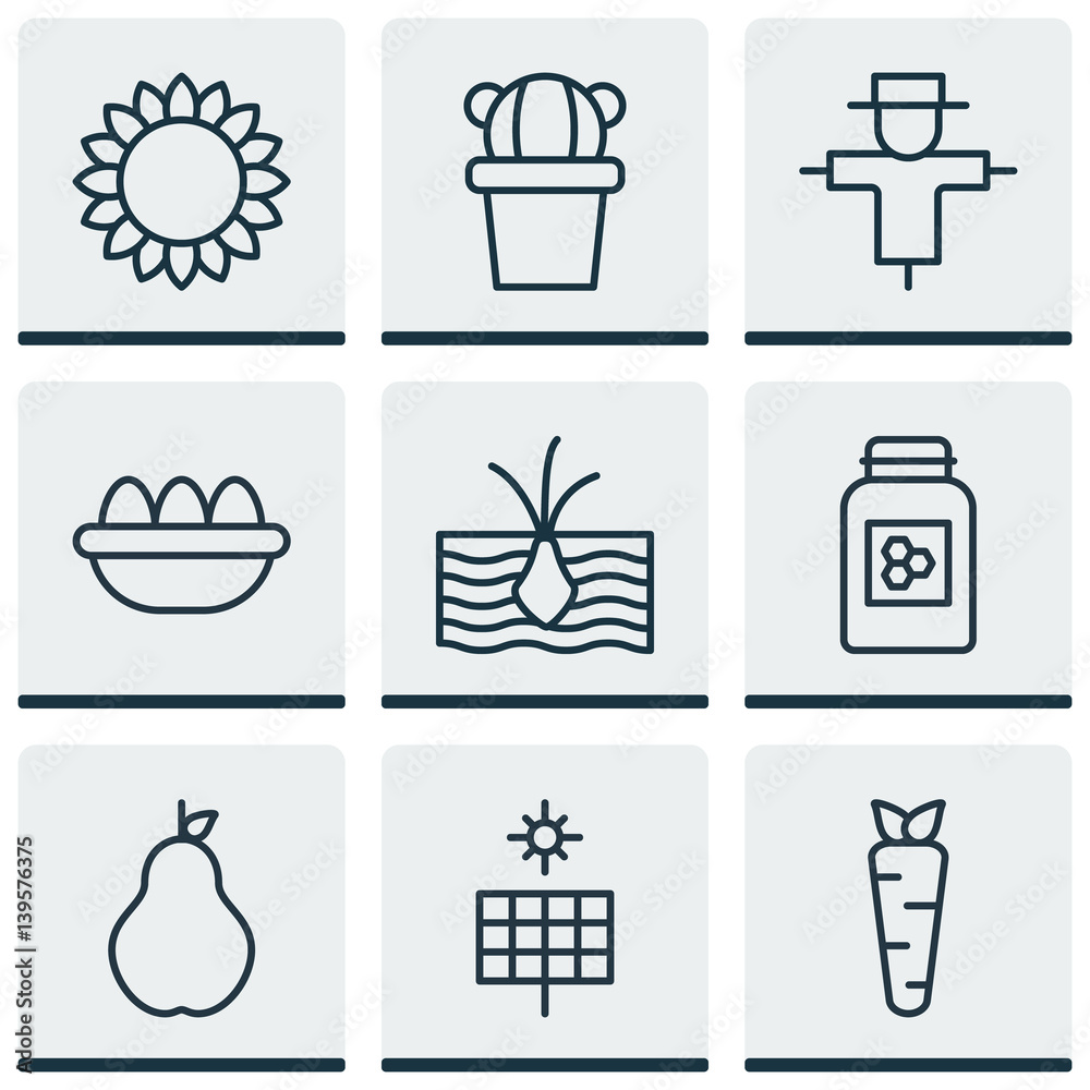 Set Of 9 Garden Icons. Includes Duchess, Jar, Helianthus And Other ...