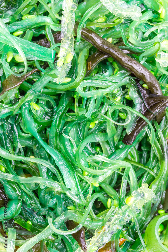 Algen essen Stock-Foto | Adobe Stock