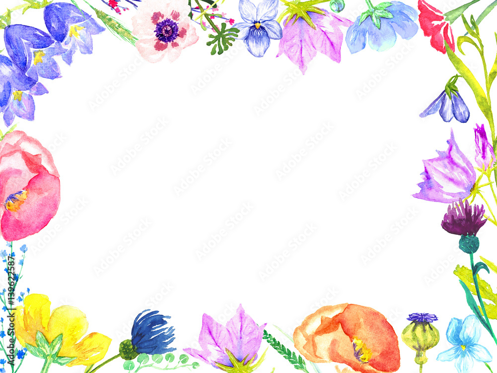 Horizontal frame of colorful wild flowers: bellflowers, violets, forget ...