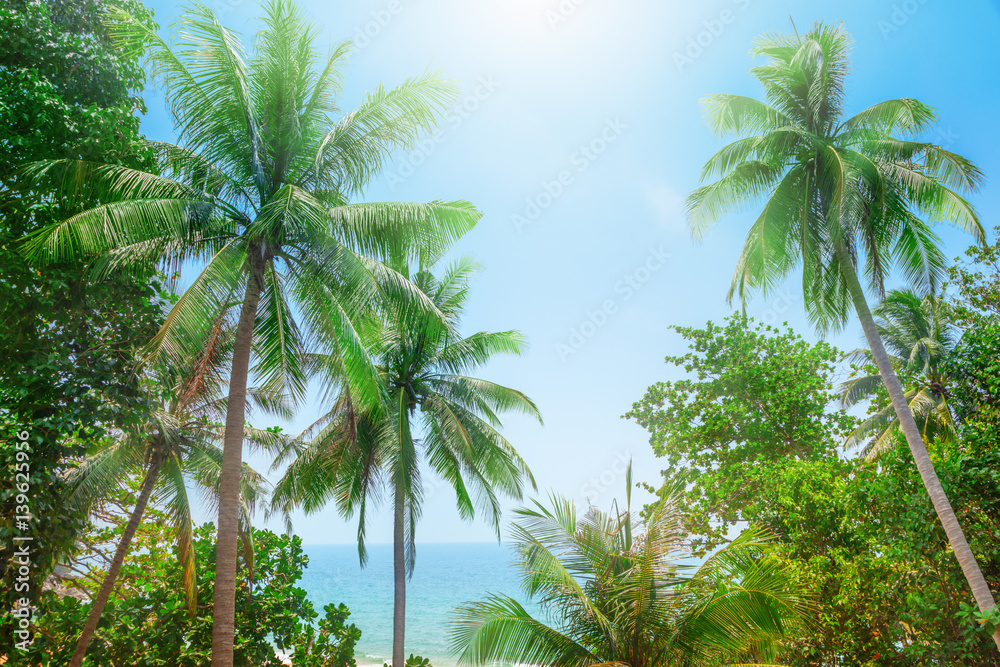 Beach Stock Photo | Adobe Stock