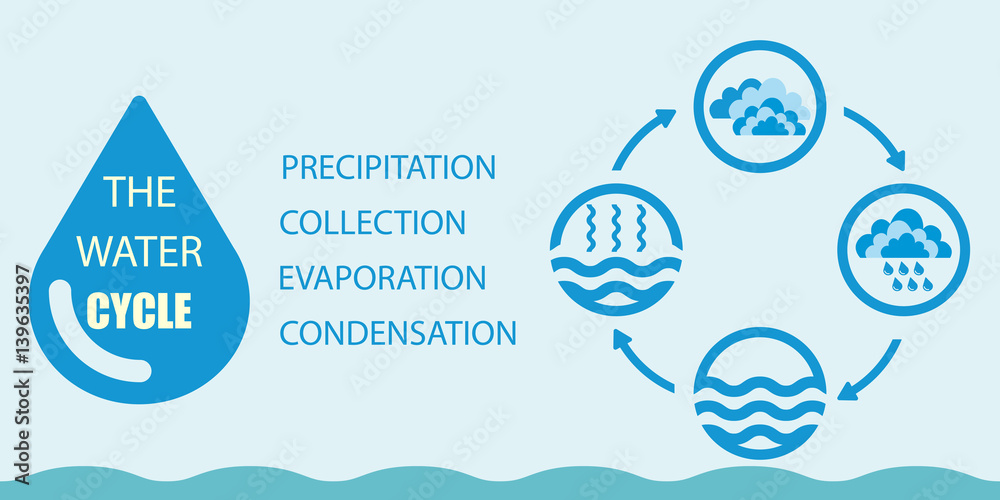 Water cycle infographics. The water cycle vector diagram of ...