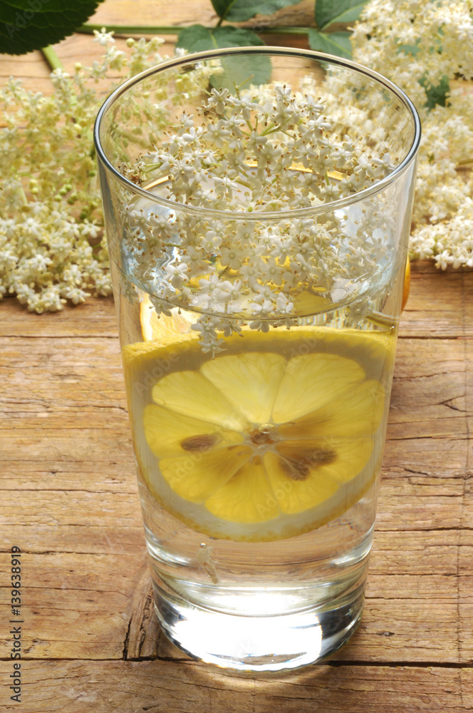 Sambucus Bez Elder Sambuco Sureau סמבוק Elderberry Sirup Holunder Saúco ...