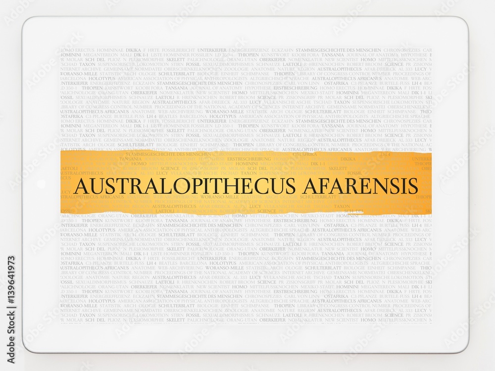 Australopithecus afarensis Stock Illustration | Adobe Stock