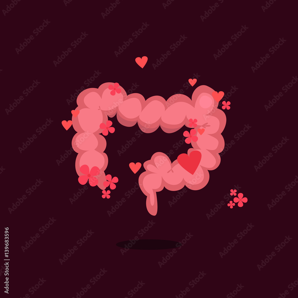 Large intestine vector illustration Stock Vector | Adobe Stock