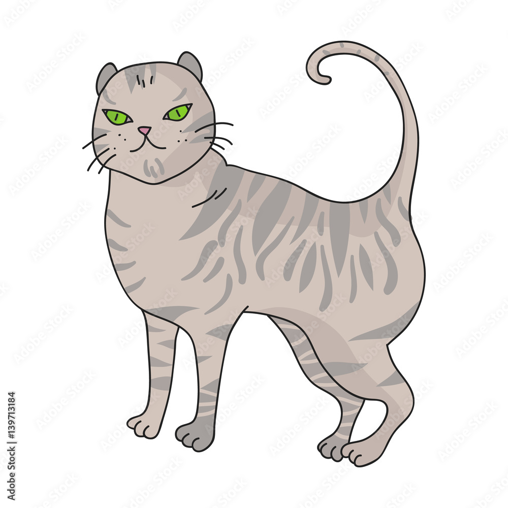 British Shorthair icon in cartoon style isolated on white background ...