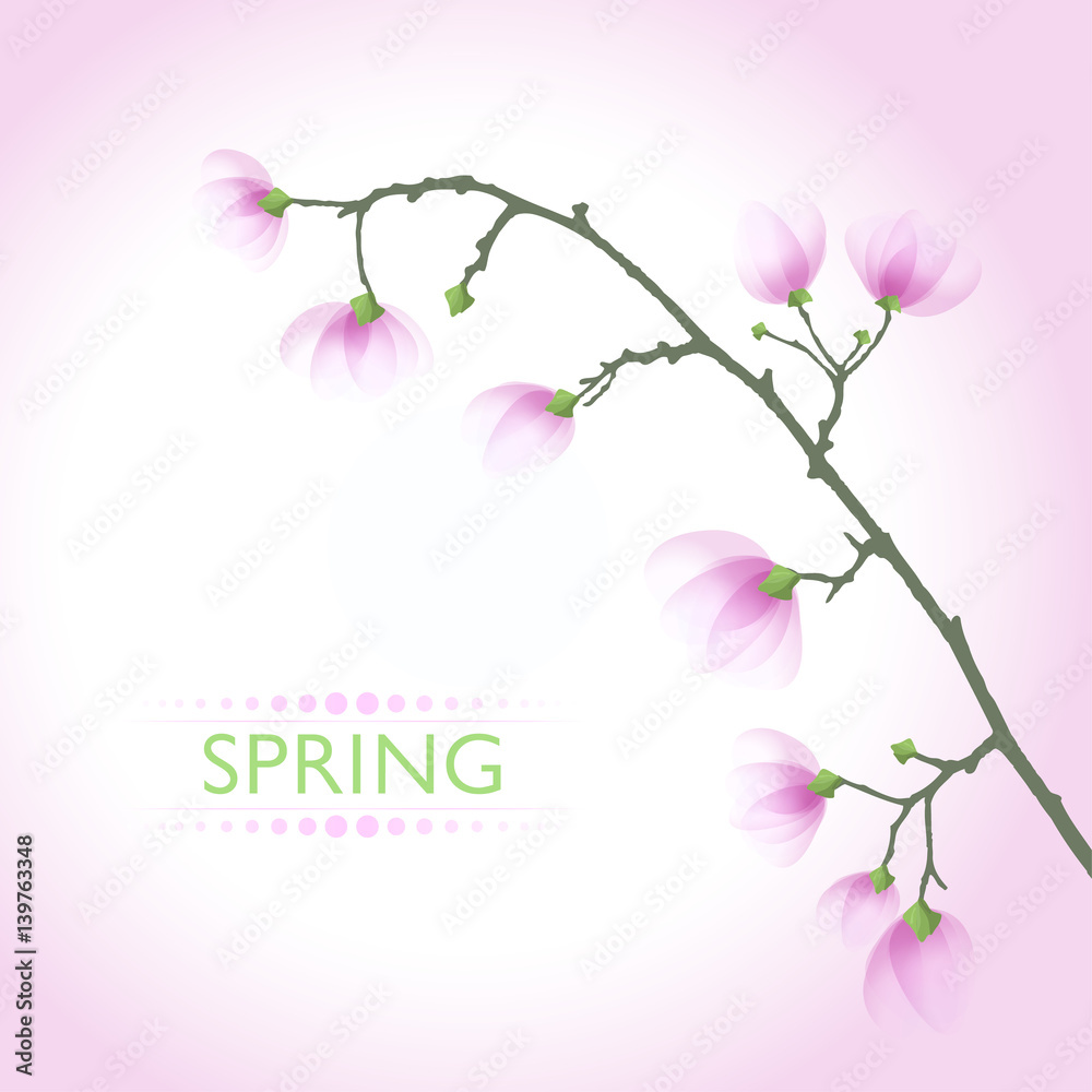vector background with spring flowers Stock Vector | Adobe Stock