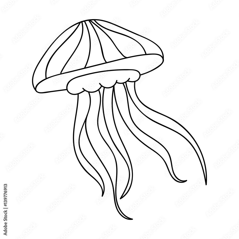 Jelly fish icon in outline style isolated on white background. Sea ...