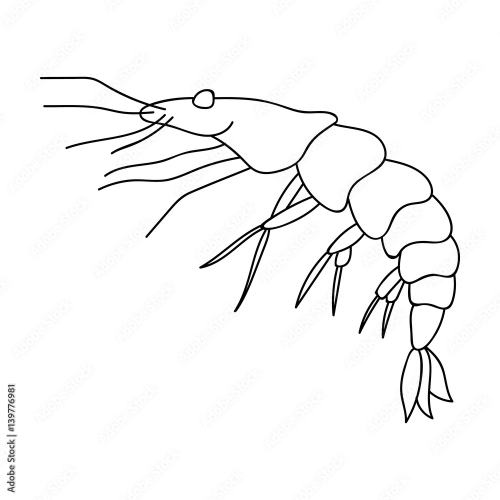 Shrimp icon in outline style isolated on white background. Sea animals ...