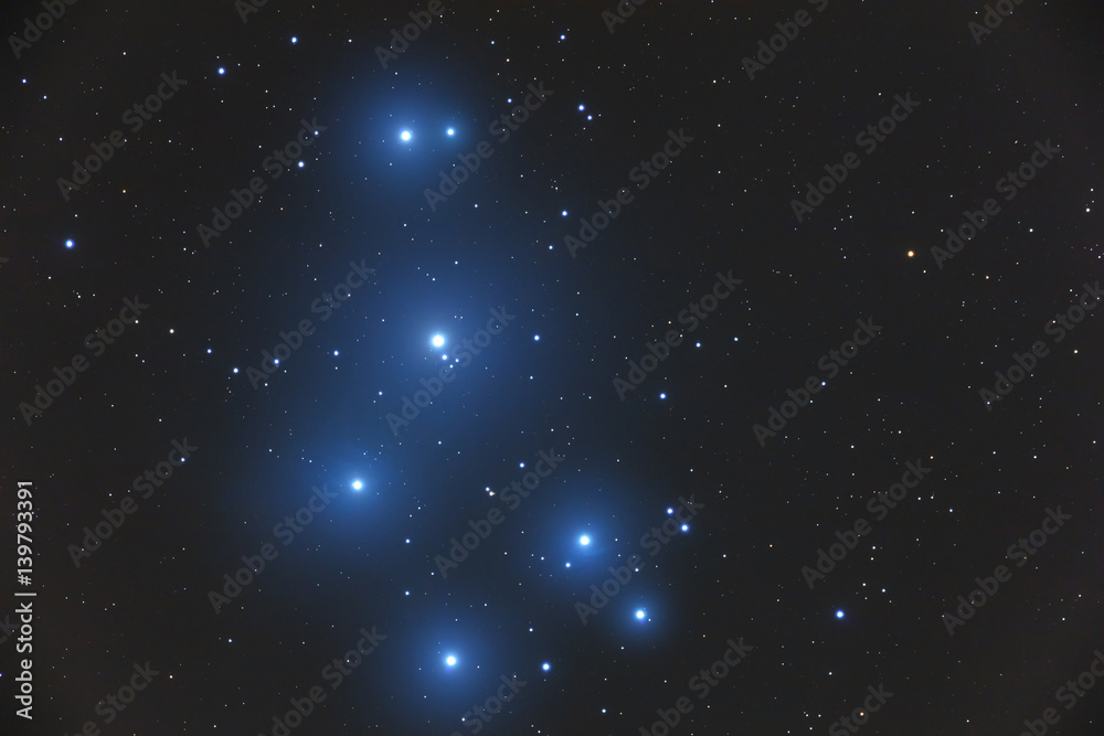 Pleiades star cluster in the constellation of Bull. Stock Photo | Adobe ...