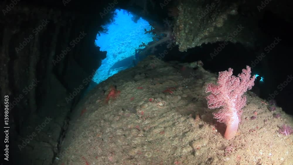 Video Stock Cameraman diver swimming in ship wreck deep underwater in ...