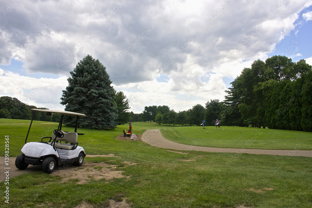Sport and leisure background. Summer cloudy day landscape with golf ...