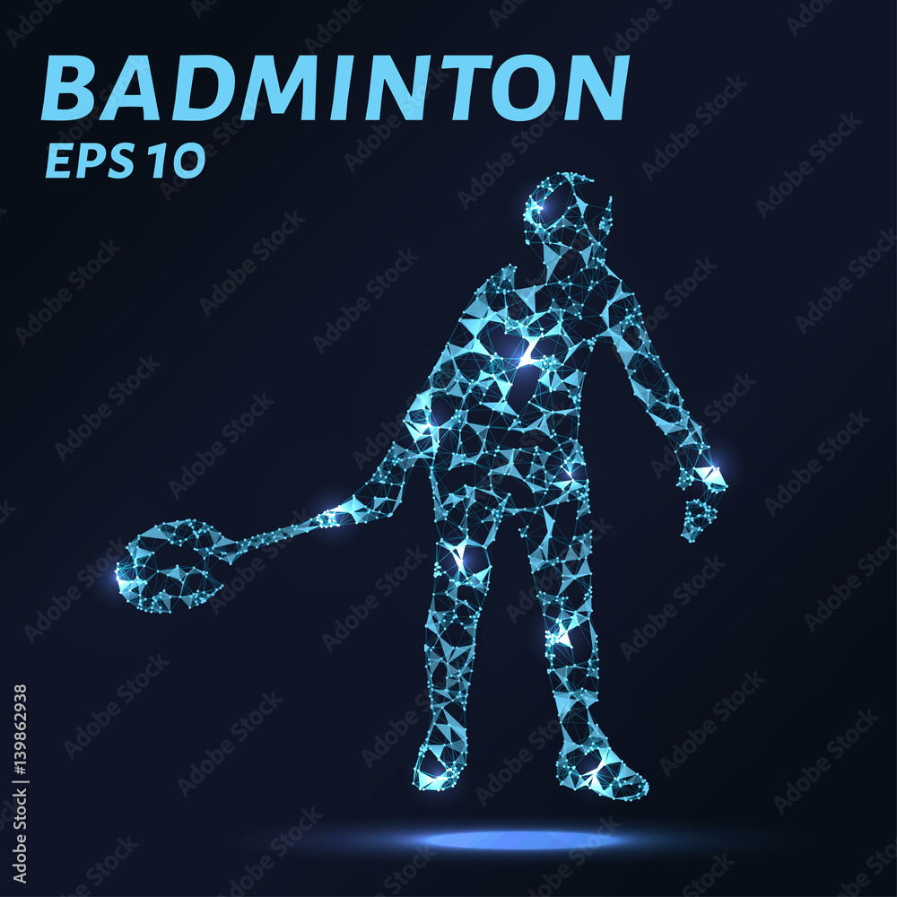 Badminton consists of points, lines and triangles. The polygon shape in ...