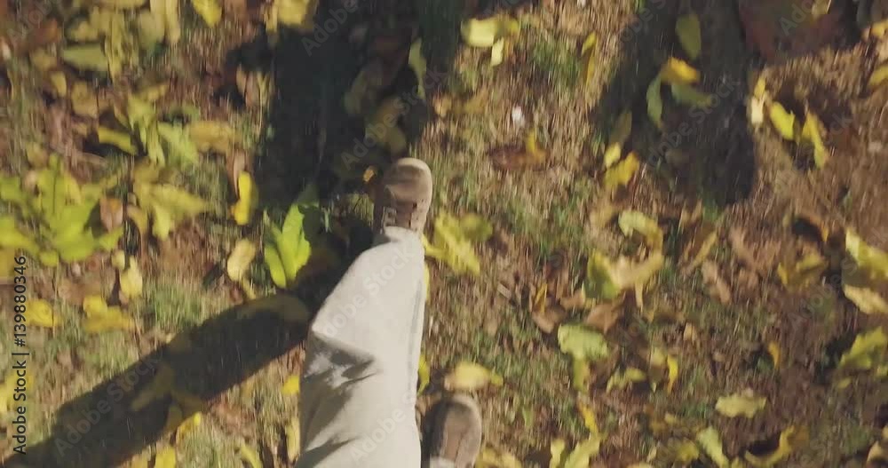 man walking under trees on walkway and lawn with leafs in urban city ...