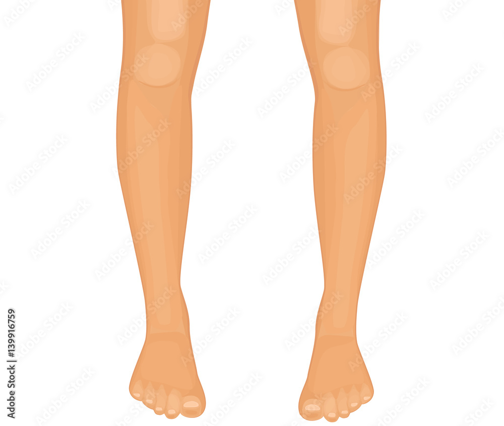 Human legs vector illustration on white background Stock Vector | Adobe ...