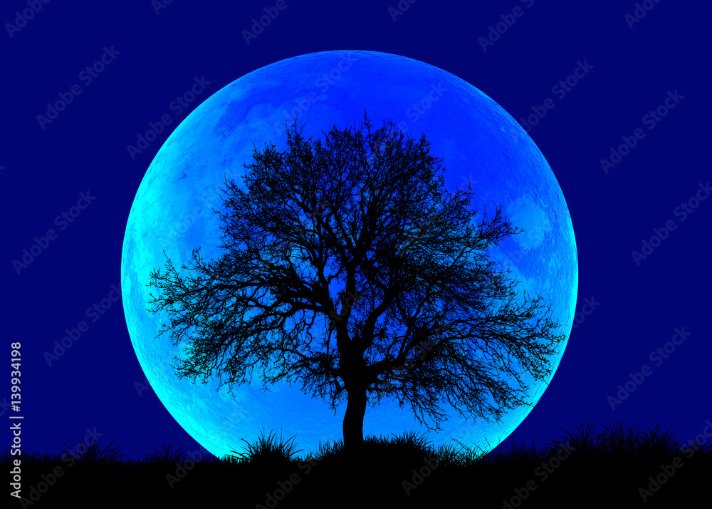 Nasa Blue Moon
