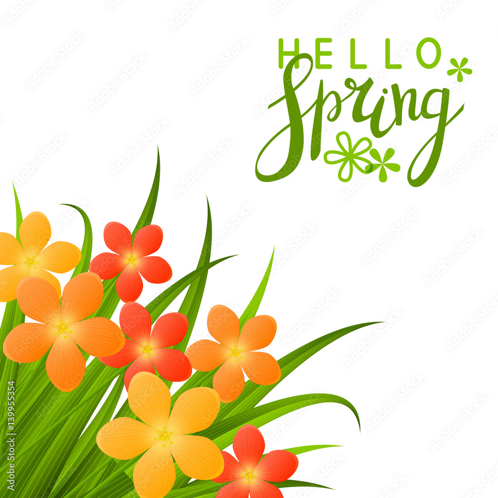 Spring background with orange flowers Stock Vector | Adobe Stock