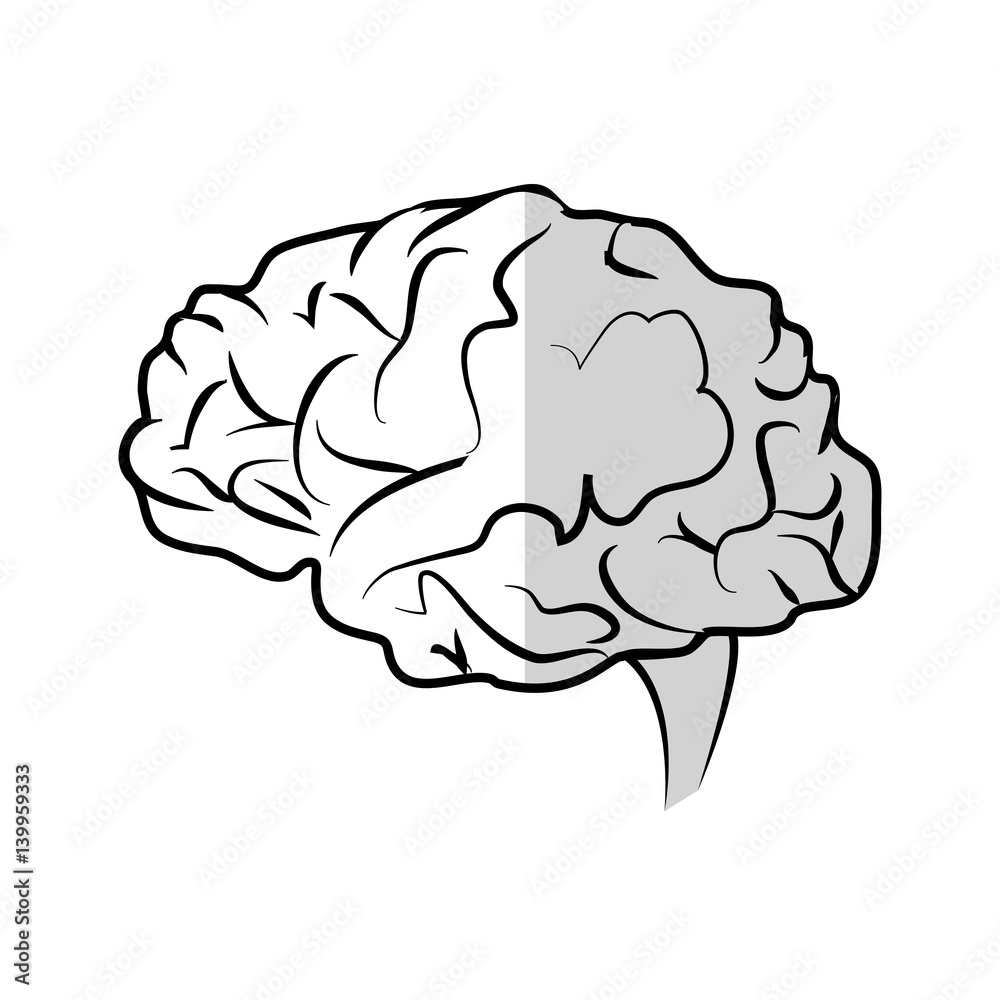 human brain icon over white background. vector illustration Stock ...