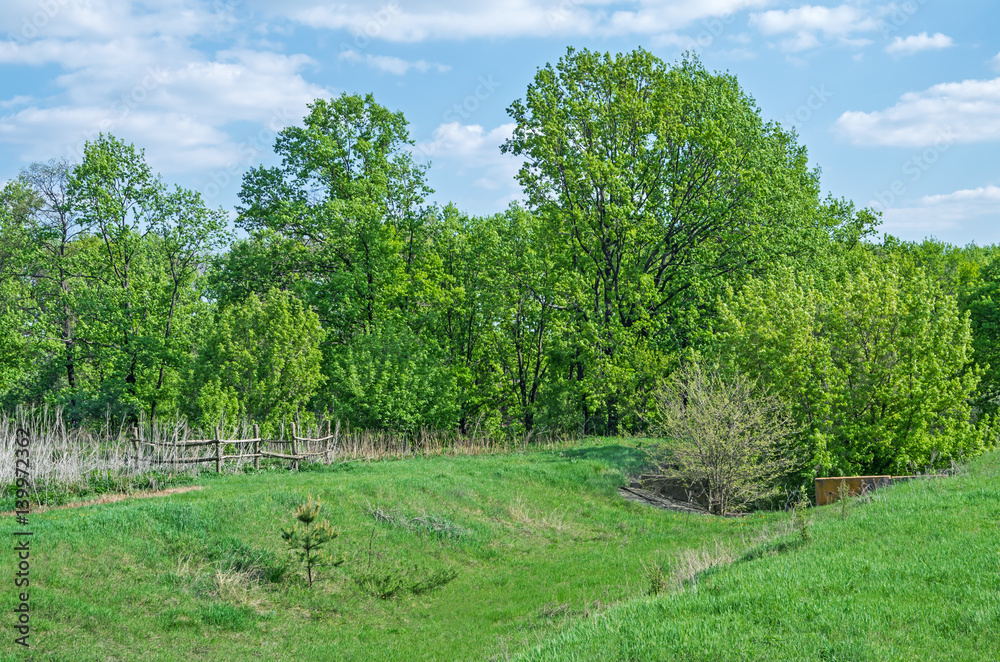 Protection of earth from erosion Stock Photo | Adobe Stock