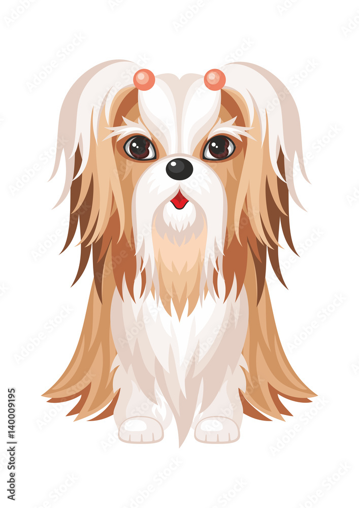 Shih Tzu.Vector image of a cute purebred dogs in cartoon style. Stock ...