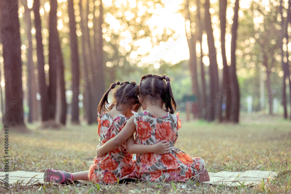 backside of two girls sitting and hug together in the park in vintage ...