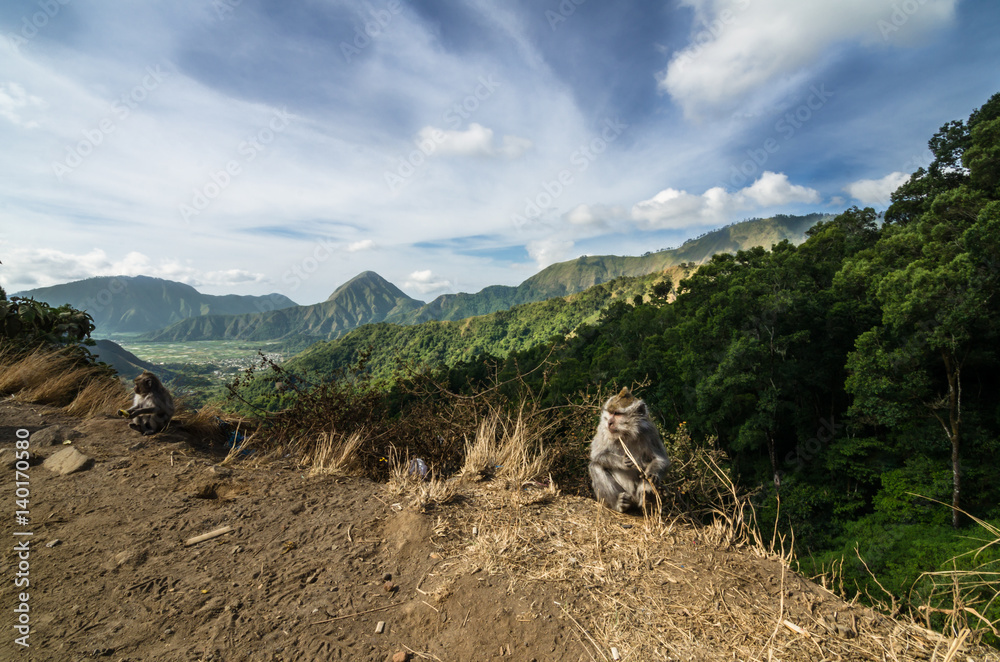 Road to Mount. Rinjani, the mountain is in the Regency of North Lombok ...