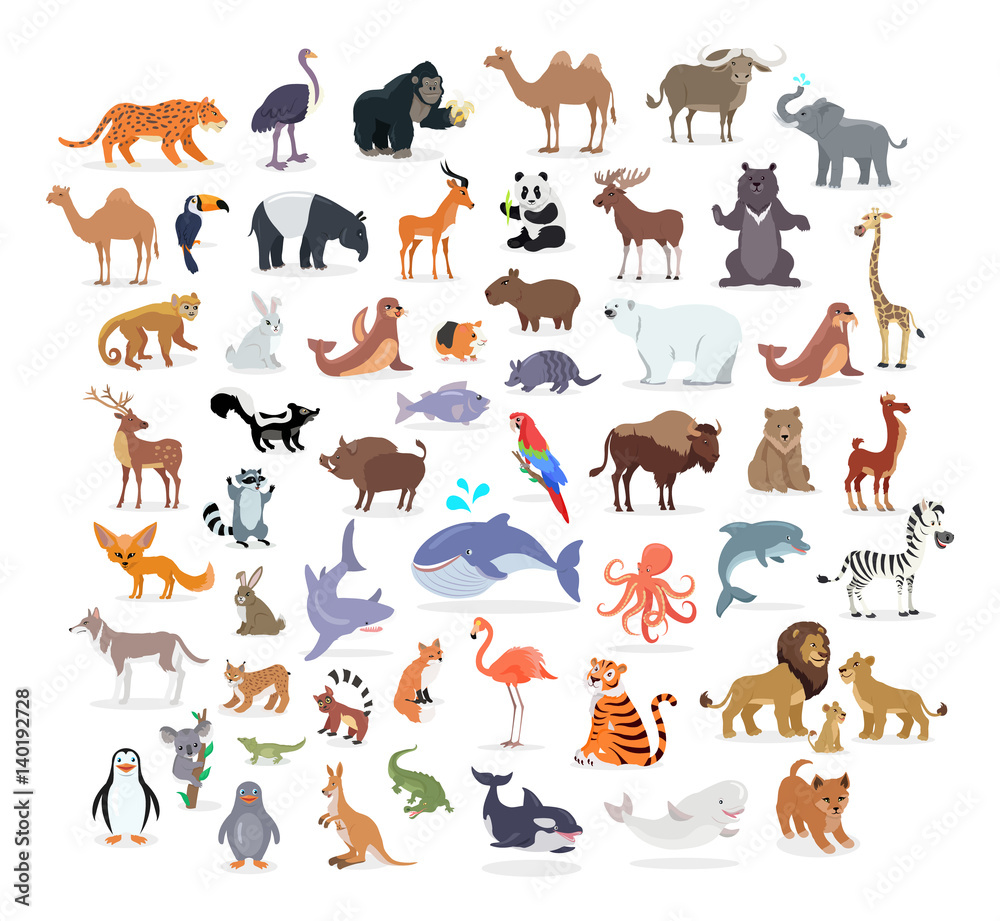Animal Full Length Portraits Collection on White Stock Vector | Adobe Stock