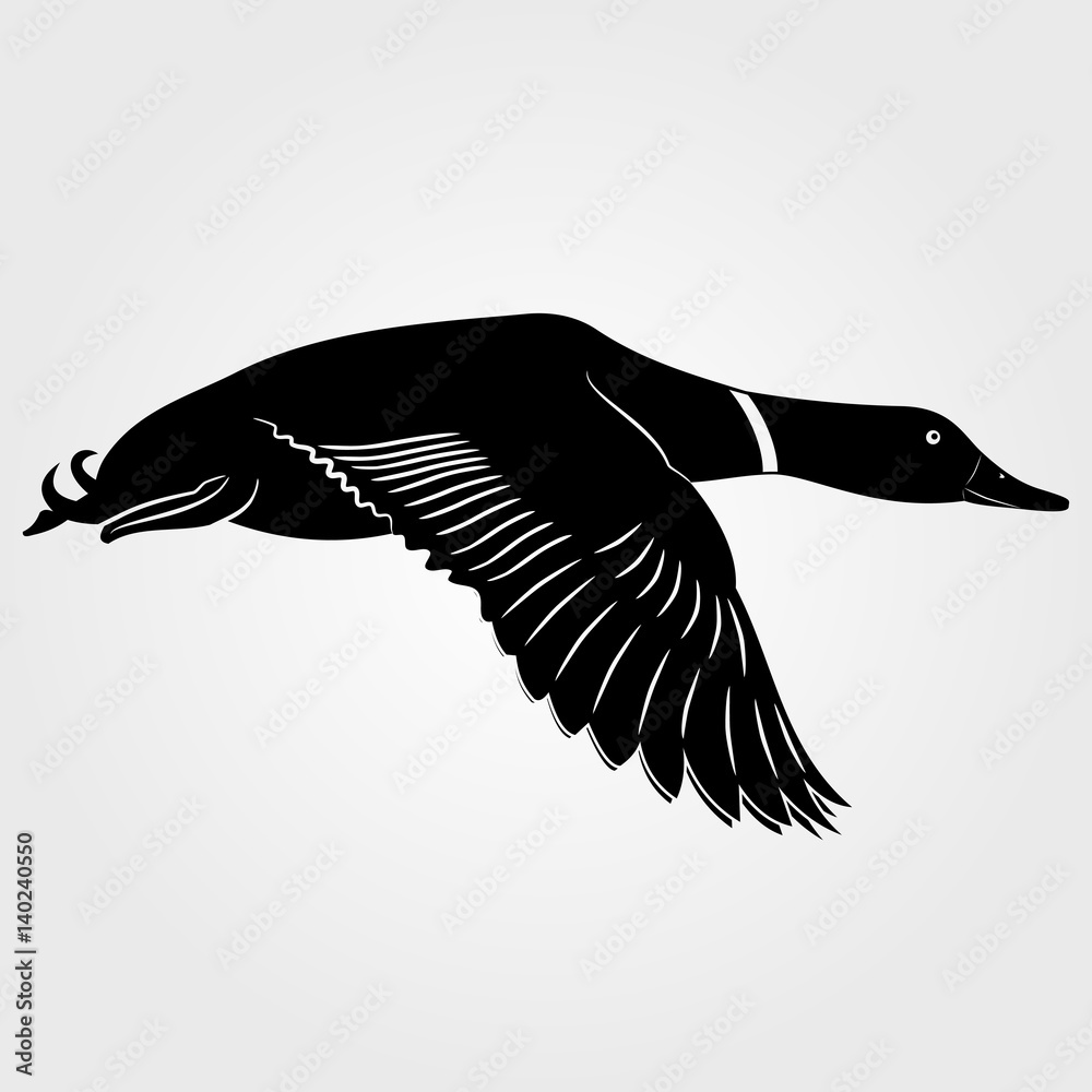 Flying Duck icon isolated on white background. Stock ベクター | Adobe Stock