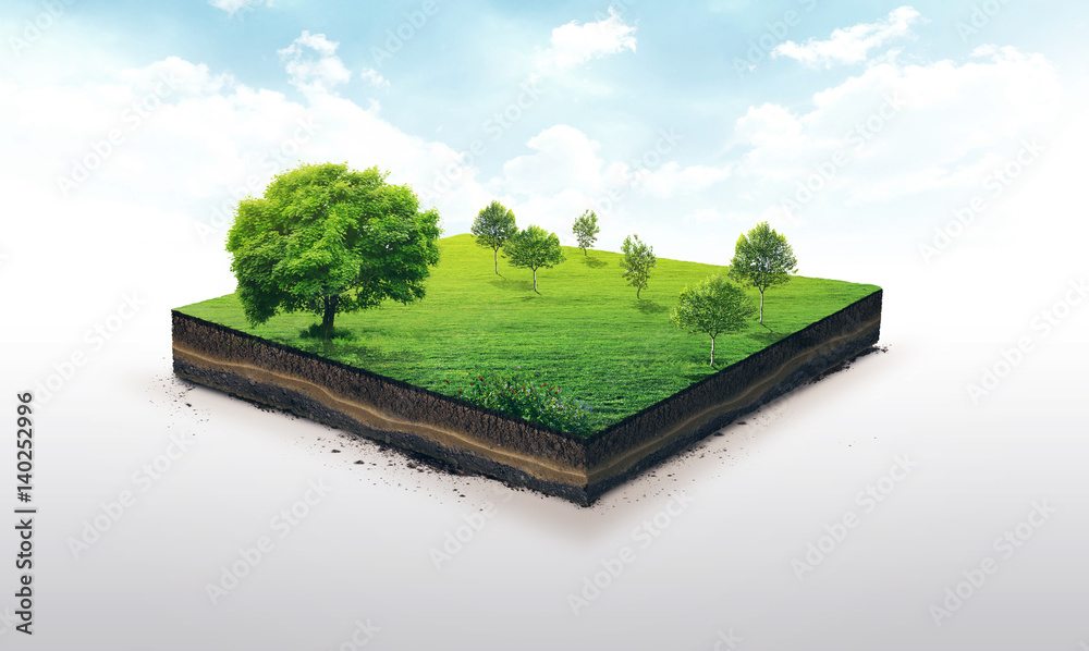 3d illustration of a soil slice, green meadow with trees isolated on ...