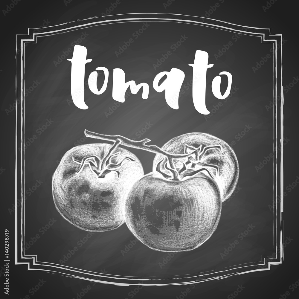 Hand drawn tomato vegetable, chalk sketch in square frame on blackboard ...