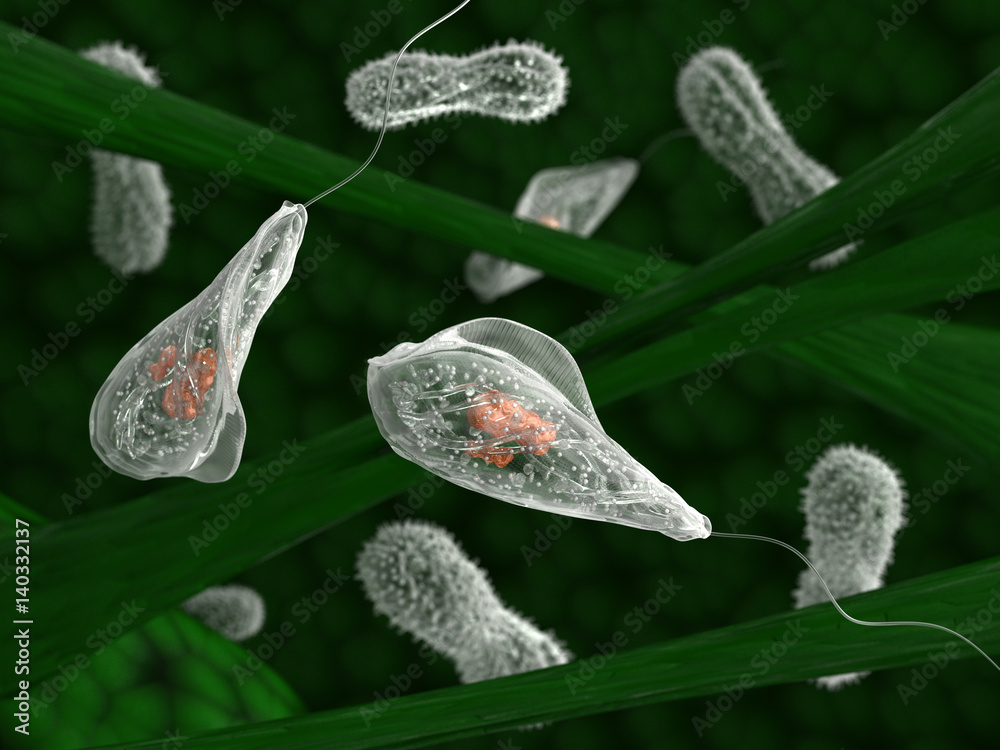 Microorganisms in the natural habitat 3d image. Stock Illustration ...