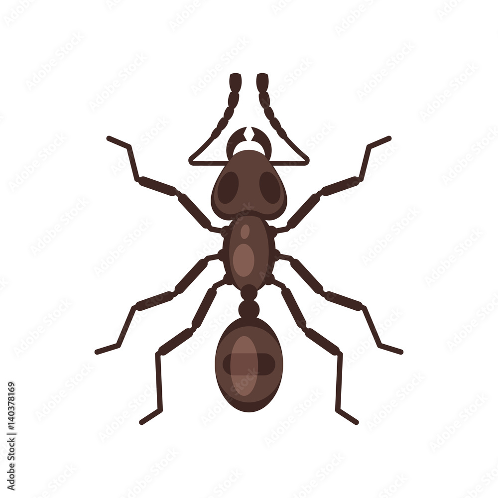 Vector flat style illustration of ant. Stock Vector | Adobe Stock