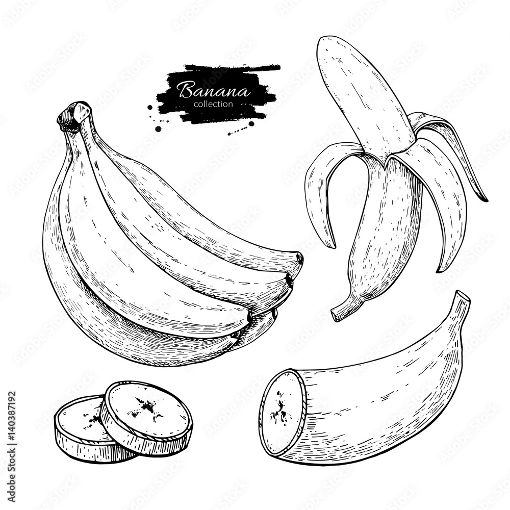Banana set vector drawing. Isolated hand drawn bunch, peel banana and ...