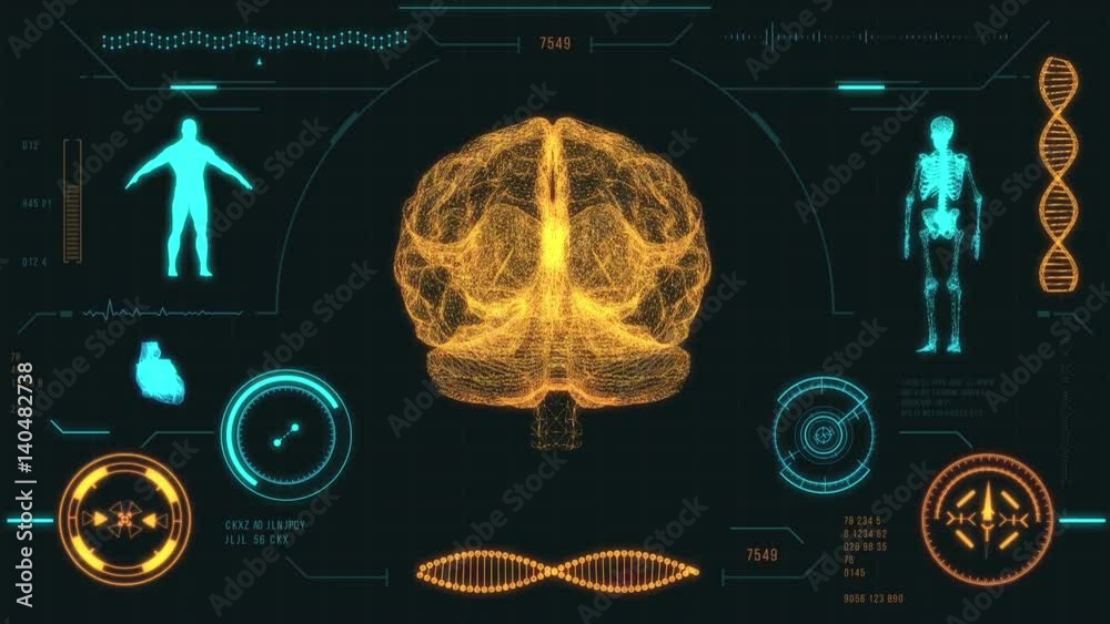 Human brain scan. Futuristic medical user interface with HUD and ...