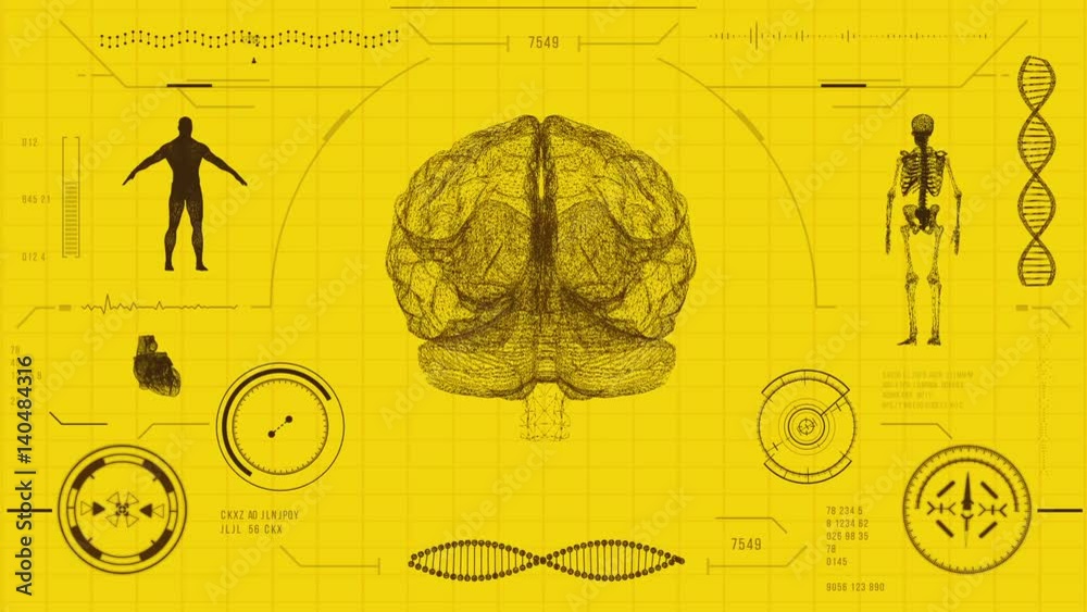 Human brain scan. Futuristic medical user interface with HUD and ...