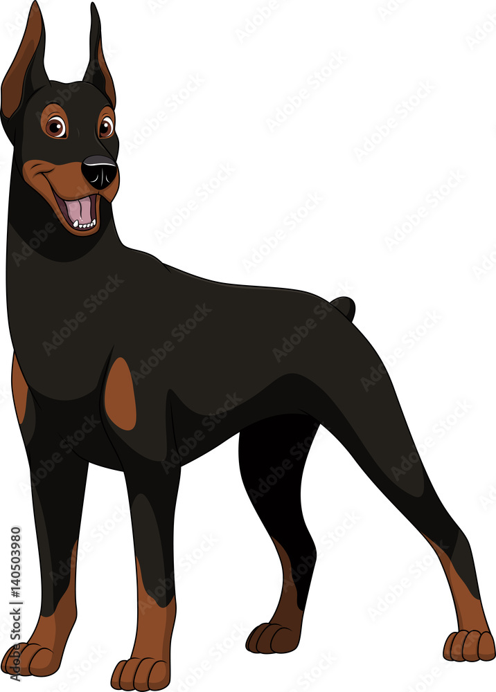 Funny purebred Doberman Stock Vector | Adobe Stock