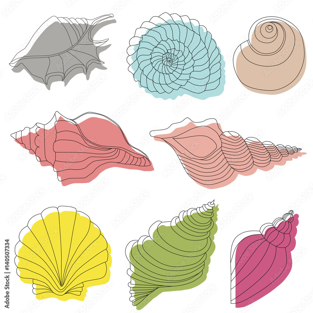 Sea shells. Line work. Isolated image on white background. Stock Vector ...